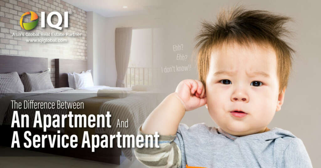 Service Apartment VS Apartment - What is the difference? - IQI