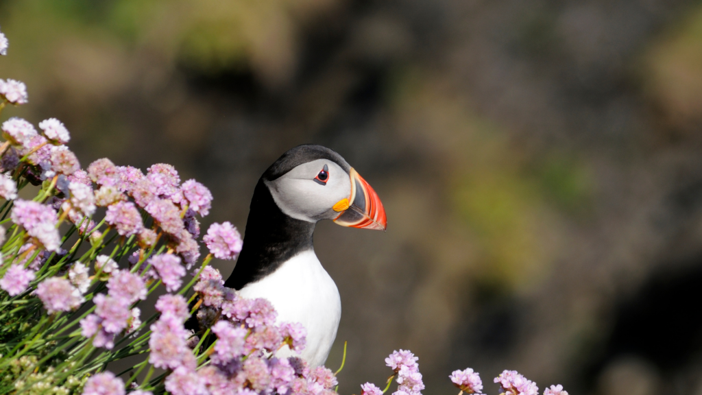 Top 5 Spring Activities To Explore in Canada