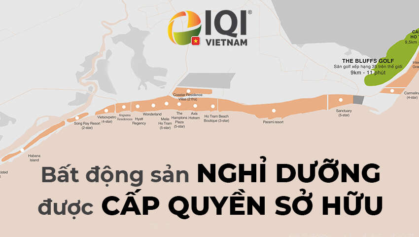 IQI Vietnam chính thức trở thành Đối tác phân phối tuyệt phẩm LUMIÈRE ...